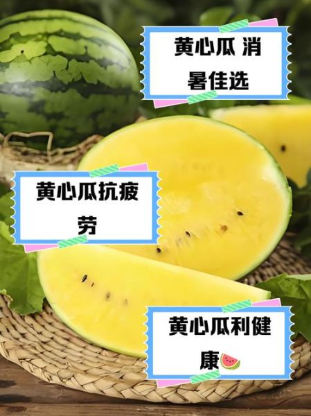 黄西瓜的功效与作用_黄西瓜营养价值高吗-第2张图片-山城妙识 黄西瓜的功效与作用_黄西瓜营养价值高吗-第2张图片-山城妙识