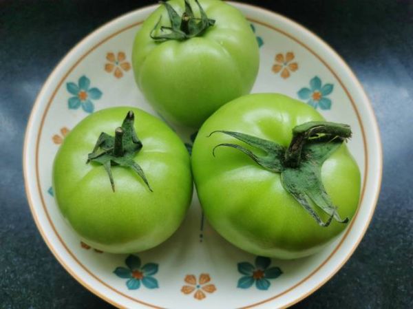 青西红柿炒熟了还有毒吗_吃了会不会中毒-第1张图片-山城妙识 青西红柿炒熟了还有毒吗_吃了会不会中毒-第1张图片-山城妙识