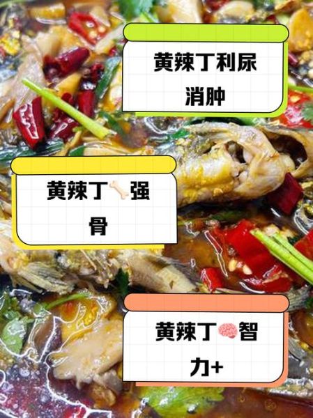 黄辣丁的营养价值_黄辣丁适合什么人吃-第3张图片-山城妙识