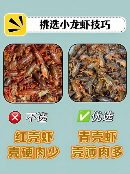 龙虾的做法最正宗的做法_如何挑选鲜活龙虾-第2张图片-山城妙识