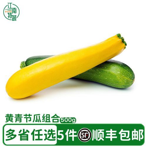 黄节瓜图片_黄节瓜长什么样-第3张图片-山城妙识 黄节瓜图片_黄节瓜长什么样-第3张图片-山城妙识