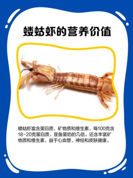 蝼蛄虾大连什么时候最肥_大连蝼蛄虾肥美季节-第1张图片-山城妙识 蝼蛄虾大连什么时候最肥_大连蝼蛄虾肥美季节-第1张图片-山城妙识