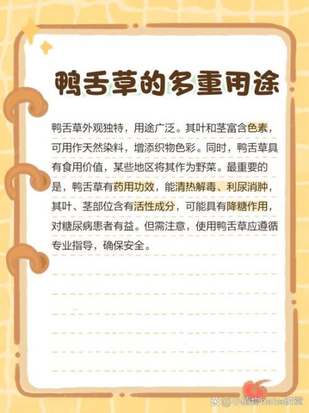 鸭舌草的功效与作用_鸭舌草怎么吃效果最好-第3张图片-山城妙识 鸭舌草的功效与作用_鸭舌草怎么吃效果最好-第3张图片-山城妙识
