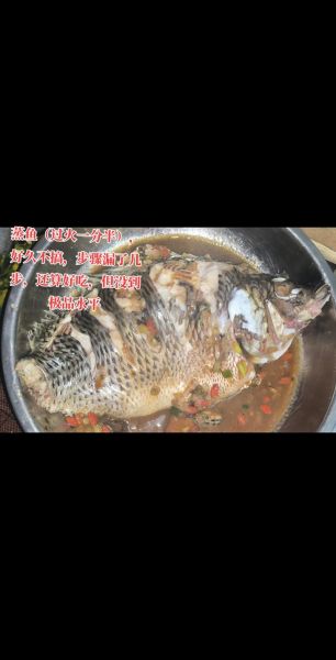 罗非鱼多少钱一斤_罗非鱼价格受哪些因素影响-第1张图片-山城妙识