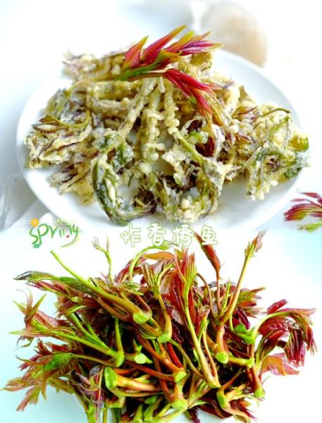 香椿怎么吃最好吃_香椿有几种吃法-第1张图片-山城妙识 香椿怎么吃最好吃_香椿有几种吃法-第1张图片-山城妙识