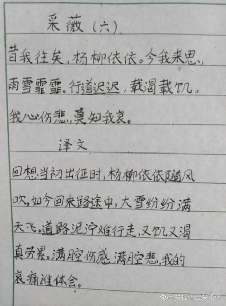 采薇节选表达了什么情感_如何赏析采薇节选-第2张图片-山城妙识 采薇节选表达了什么情感_如何赏析采薇节选-第2张图片-山城妙识