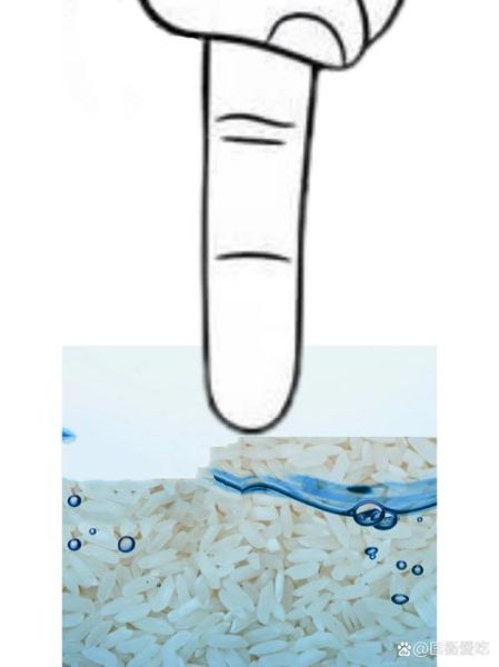 蒸锅蒸米饭怎么蒸_蒸米饭水和米的比例是多少-第3张图片-山城妙识