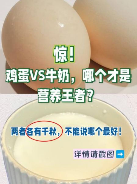 牛奶和鸡蛋能一起吃吗_早餐搭配真相-第1张图片-山城妙识 牛奶和鸡蛋能一起吃吗_早餐搭配真相-第1张图片-山城妙识