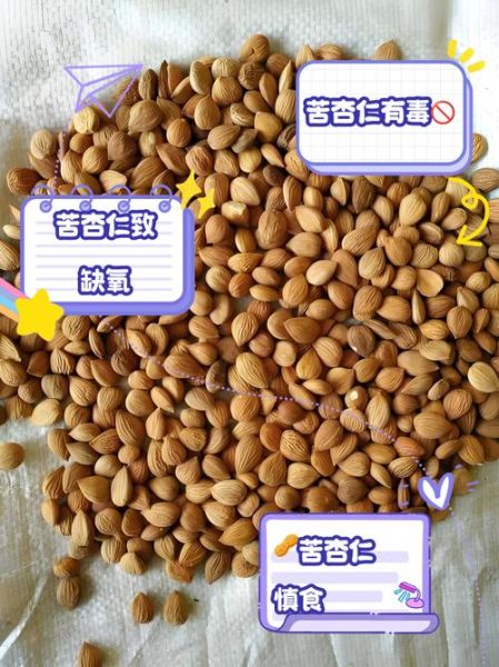 苦杏仁的副作用_苦杏仁的禁忌人群-第2张图片-山城妙识 苦杏仁的副作用_苦杏仁的禁忌人群-第2张图片-山城妙识