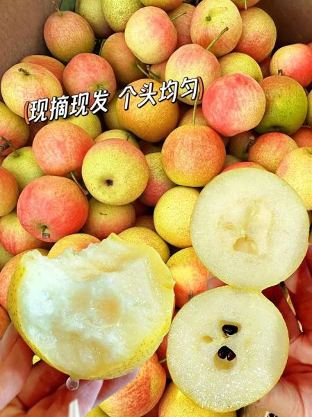 鞍山特产有哪些值得带_鞍山特产送人推荐-第3张图片-山城妙识