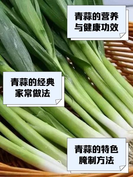 青蒜的营养价值_青蒜怎么吃最营养-第2张图片-山城妙识