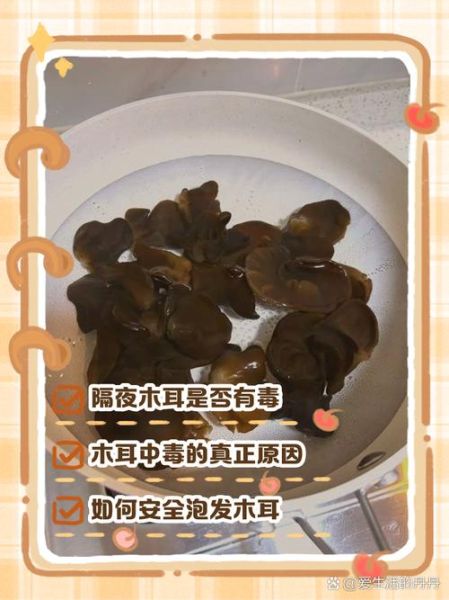 木耳炖熟过一晚有毒吗_隔夜木耳中毒真相-第3张图片-山城妙识 木耳炖熟过一晚有毒吗_隔夜木耳中毒真相-第3张图片-山城妙识