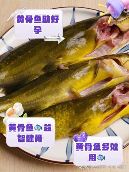 黄骨鱼的营养价值_黄骨鱼的禁忌人群-第1张图片-山城妙识