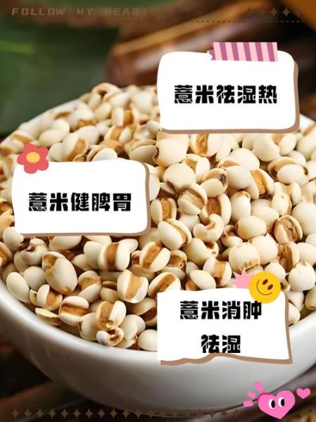 薏米怎么吃最除湿_薏米除湿的正确吃法-第3张图片-山城妙识 薏米怎么吃最除湿_薏米除湿的正确吃法-第3张图片-山城妙识
