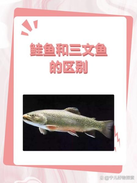 鲑鱼读音怎么读_鲑鱼念gui还是hua-第1张图片-山城妙识 鲑鱼读音怎么读_鲑鱼念gui还是hua-第1张图片-山城妙识