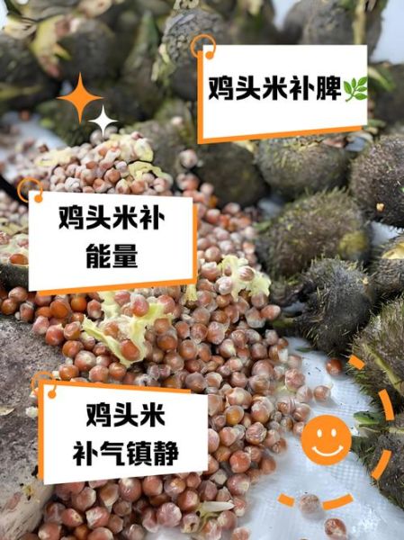 鸡头米的功效与作用_什么人不适合吃鸡头米-第1张图片-山城妙识
