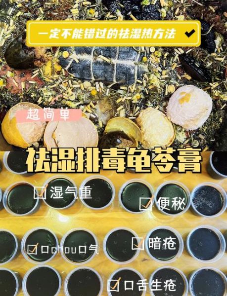 龟苓膏的做法视频教程_龟苓膏怎么做才正宗-第1张图片-山城妙识 龟苓膏的做法视频教程_龟苓膏怎么做才正宗-第1张图片-山城妙识