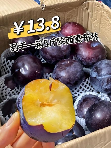 黑布林的禁忌_孕妇能吃黑布林吗-第3张图片-山城妙识