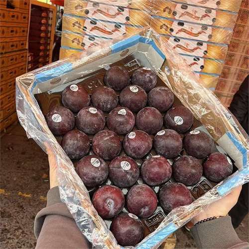 黑布林的禁忌_孕妇能吃黑布林吗-第2张图片-山城妙识