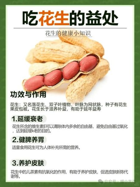 花生有什么好处_花生每天吃多少合适-第1张图片-山城妙识 花生有什么好处_花生每天吃多少合适-第1张图片-山城妙识