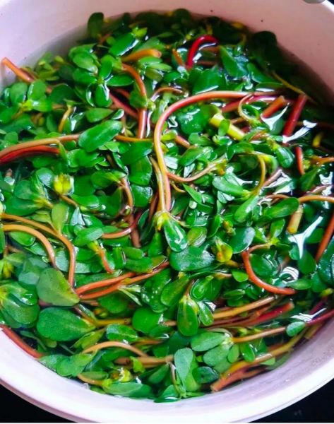 马芷苋的功效与作用_马芷苋怎么吃最好-第2张图片-山城妙识