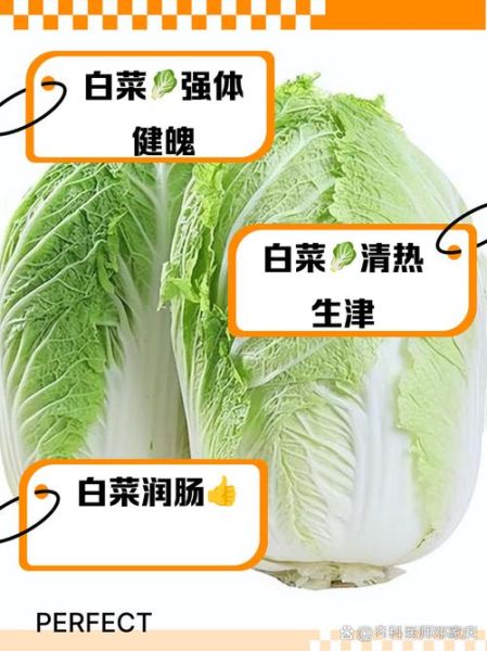 白菜的营养价值及功效_白菜怎么吃最健康-第3张图片-山城妙识 白菜的营养价值及功效_白菜怎么吃最健康-第3张图片-山城妙识