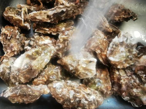 蚵仔煎怎么读台湾话_蚵仔煎台语发音教学-第2张图片-山城妙识 蚵仔煎怎么读台湾话_蚵仔煎台语发音教学-第2张图片-山城妙识