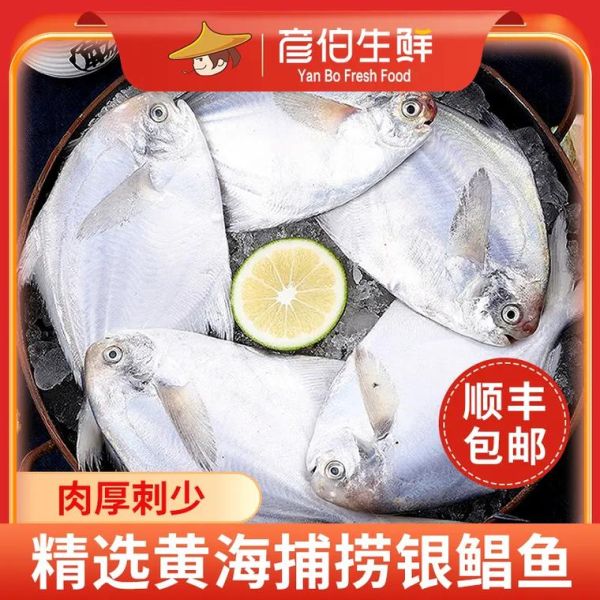 银鲳鱼有刺吗_银鲳鱼刺多不多-第3张图片-山城妙识 银鲳鱼有刺吗_银鲳鱼刺多不多-第3张图片-山城妙识
