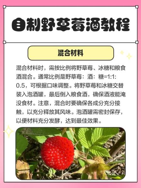 草莓酒怎么做_草莓酒发酵时间要多久-第1张图片-山城妙识 草莓酒怎么做_草莓酒发酵时间要多久-第1张图片-山城妙识