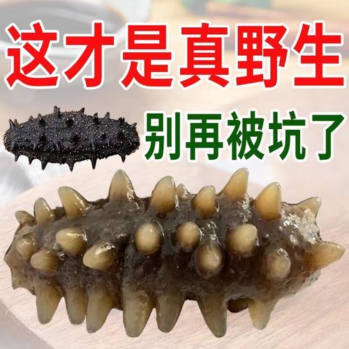 长岛海参价格多少钱一斤_长岛海参价格为什么高-第3张图片-山城妙识 长岛海参价格多少钱一斤_长岛海参价格为什么高-第3张图片-山城妙识