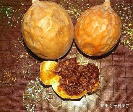 野丝瓜有什么功效_野丝瓜能治疗哪些病-第3张图片-山城妙识 野丝瓜有什么功效_野丝瓜能治疗哪些病-第3张图片-山城妙识