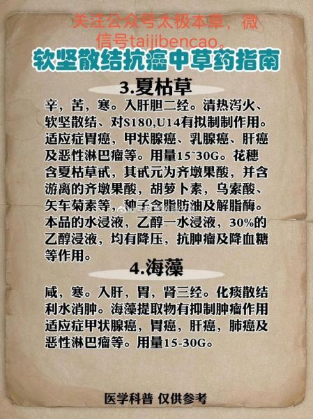 抗肿瘤中草药有哪些_如何科学使用-第1张图片-山城妙识 抗肿瘤中草药有哪些_如何科学使用-第1张图片-山城妙识