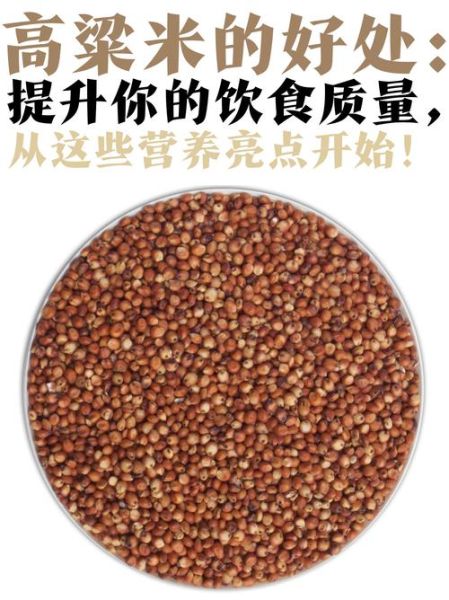 高粱米怎么做好吃_高粱米做法大全-第1张图片-山城妙识 高粱米怎么做好吃_高粱米做法大全-第1张图片-山城妙识