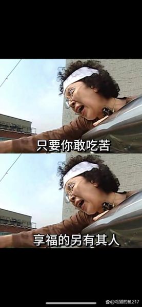 麦兜鱼丸粗面台词_麦兜经典台词完整版-第2张图片-山城妙识