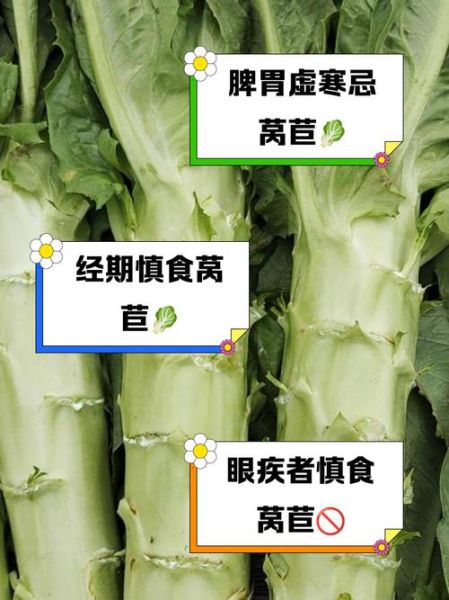 莴苣的功效与作用禁忌_哪些人不能吃莴苣-第1张图片-山城妙识 莴苣的功效与作用禁忌_哪些人不能吃莴苣-第1张图片-山城妙识