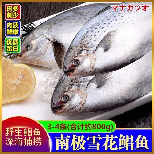 雪花鲳鱼多少钱一斤_雪花鲳鱼价格行情-第2张图片-山城妙识 雪花鲳鱼多少钱一斤_雪花鲳鱼价格行情-第2张图片-山城妙识