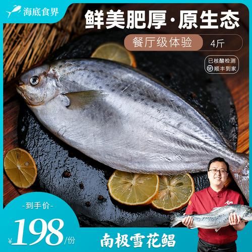 雪花鲳鱼多少钱一斤_雪花鲳鱼价格行情-第3张图片-山城妙识 雪花鲳鱼多少钱一斤_雪花鲳鱼价格行情-第3张图片-山城妙识