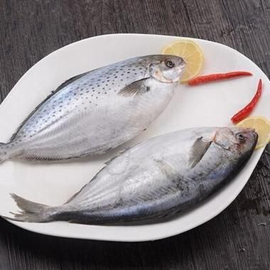 雪花鲳鱼多少钱一斤_雪花鲳鱼价格行情-第1张图片-山城妙识 雪花鲳鱼多少钱一斤_雪花鲳鱼价格行情-第1张图片-山城妙识