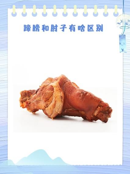 蹄髈是什么意思_蹄髈和猪脚有什么区别-第1张图片-山城妙识 蹄髈是什么意思_蹄髈和猪脚有什么区别-第1张图片-山城妙识