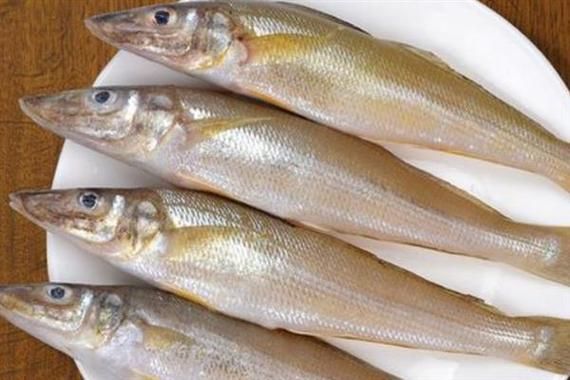 丁香鱼是什么鱼_丁香鱼产地在哪里-第1张图片-山城妙识 丁香鱼是什么鱼_丁香鱼产地在哪里-第1张图片-山城妙识