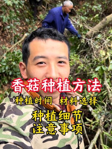 香菇种植技术培训哪里好_如何选择靠谱机构-第2张图片-山城妙识 香菇种植技术培训哪里好_如何选择靠谱机构-第2张图片-山城妙识