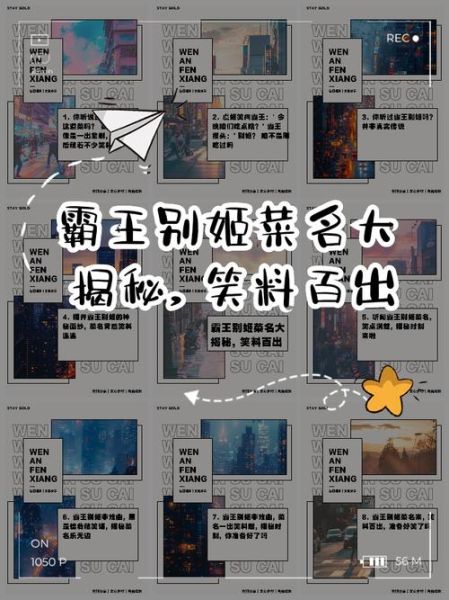 霸王别姬菜名英文翻译_霸王别姬英文菜名怎么写-第1张图片-山城妙识