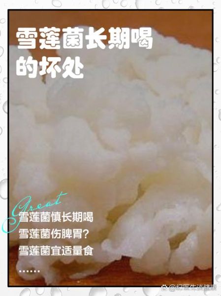 雪莲菌适合什么人喝_雪莲菌不适合什么人喝-第1张图片-山城妙识 雪莲菌适合什么人喝_雪莲菌不适合什么人喝-第1张图片-山城妙识