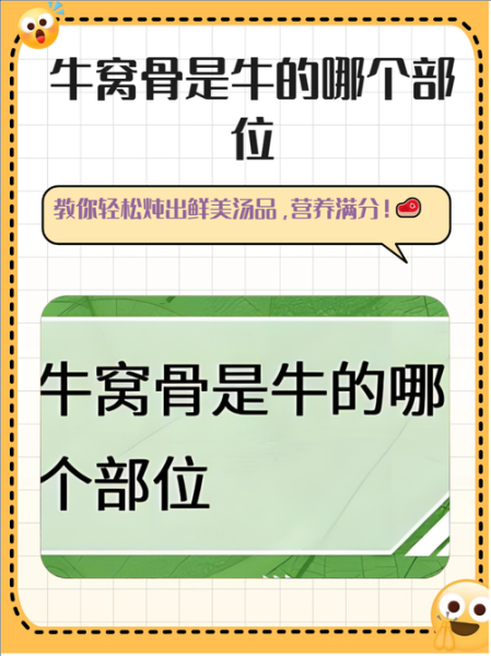 牛膝骨是哪个部位_牛膝骨和牛拐骨区别-第2张图片-山城妙识 牛膝骨是哪个部位_牛膝骨和牛拐骨区别-第2张图片-山城妙识