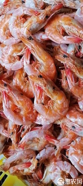 袋装干对虾怎么泡发_家常做法大全-第2张图片-山城妙识 袋装干对虾怎么泡发_家常做法大全-第2张图片-山城妙识