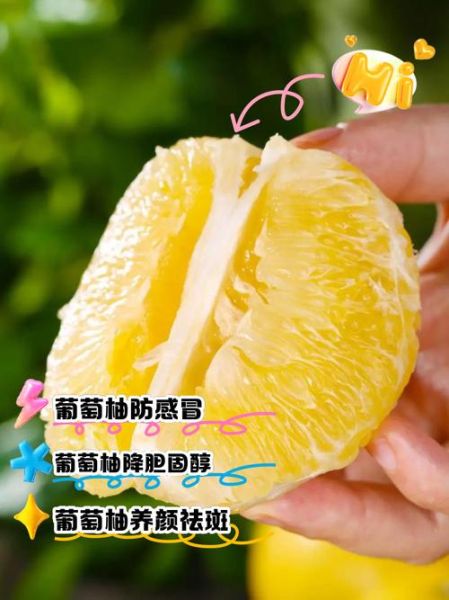 葡萄柚的功效与作用_葡萄柚怎么吃减肥最快-第1张图片-山城妙识 葡萄柚的功效与作用_葡萄柚怎么吃减肥最快-第1张图片-山城妙识