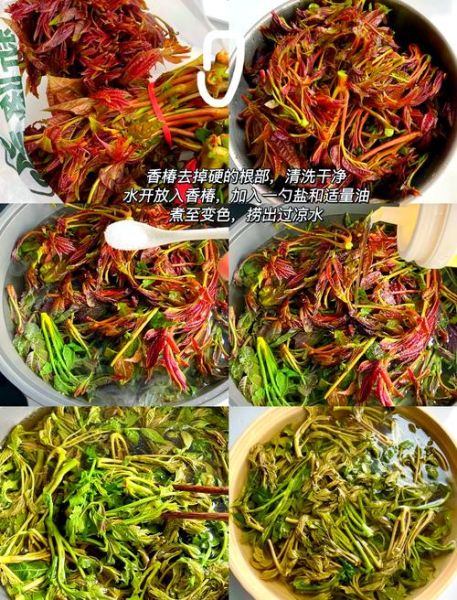 香椿酱怎么做_香椿酱能保存多久-第3张图片-山城妙识 香椿酱怎么做_香椿酱能保存多久-第3张图片-山城妙识