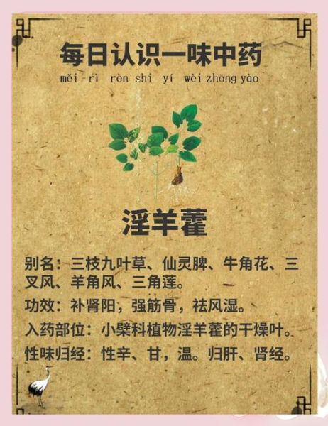 长期吃淫羊藿的副作用_安全服用多久-第2张图片-山城妙识 长期吃淫羊藿的副作用_安全服用多久-第2张图片-山城妙识