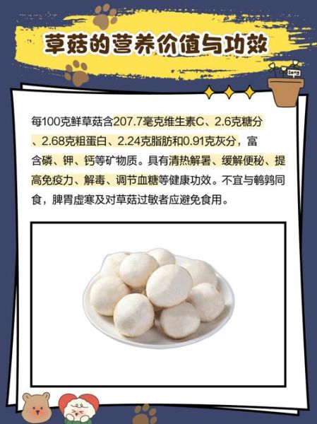 草菇价格一斤多少钱_草菇多少钱一斤2024-第3张图片-山城妙识 草菇价格一斤多少钱_草菇多少钱一斤2024-第3张图片-山城妙识