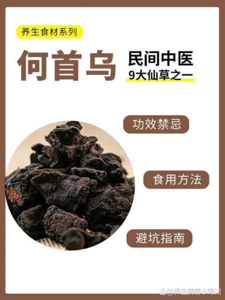 何首乌怎么吃效果好_何首乌的正确吃法-第3张图片-山城妙识 何首乌怎么吃效果好_何首乌的正确吃法-第3张图片-山城妙识